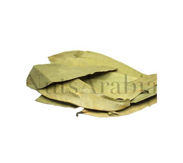 Patta Bay Leaf, 100gm - NutsArabia